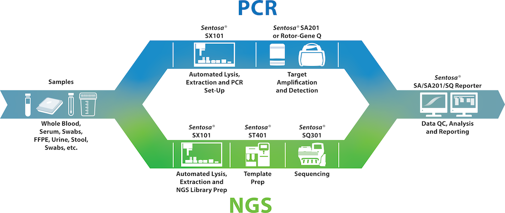 Solutions - Vela Diagnostics